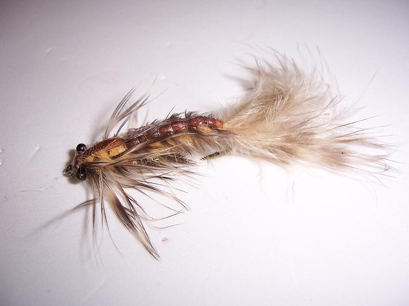 Flies/Hex Nymphs/10-1-09 hex 008